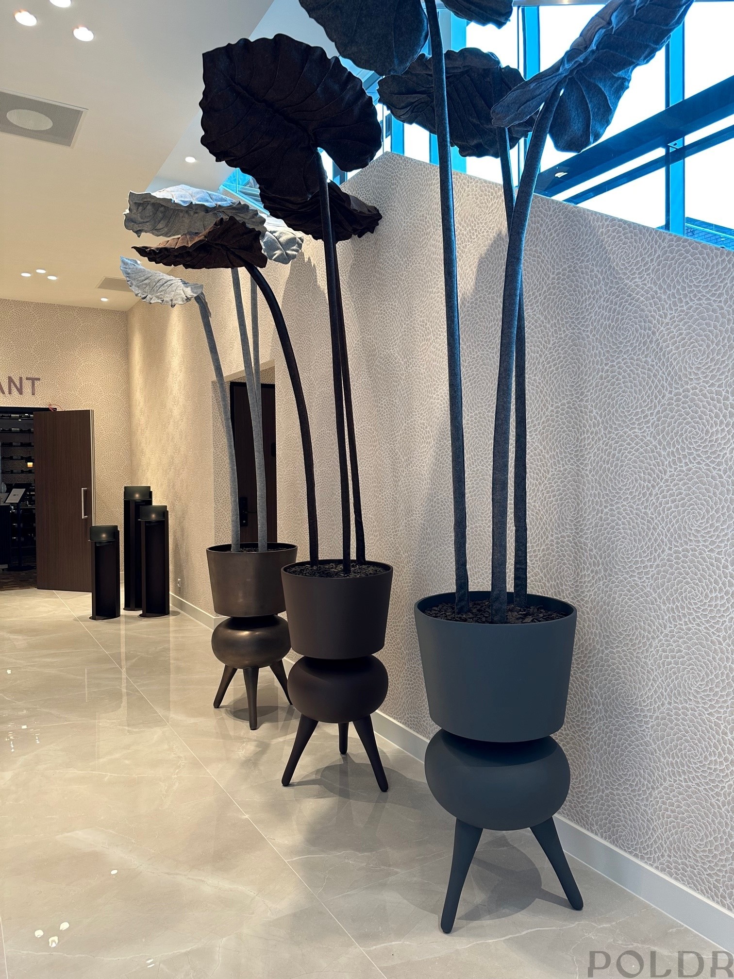 Joyce + Giant Taro Platan - Poldr Design
